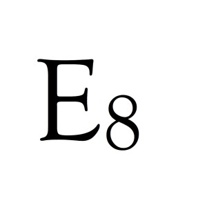 E8-logo - Skip Garibaldi